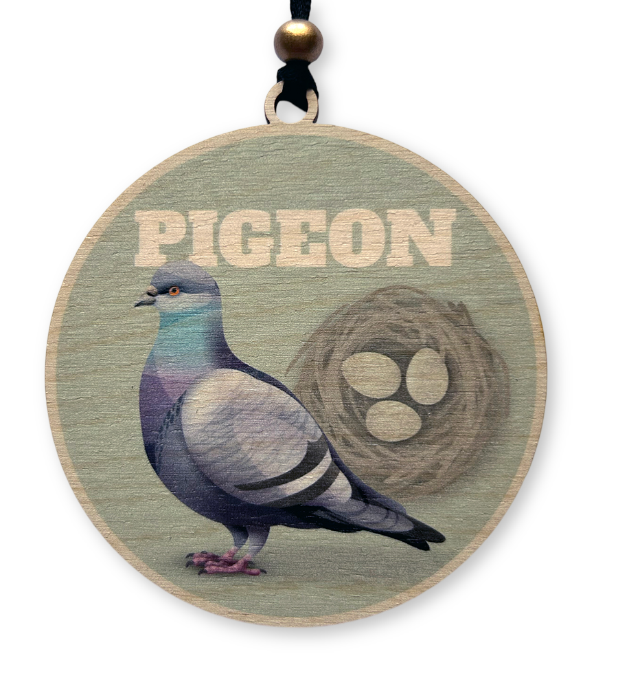 Pigeon – Memento Canada